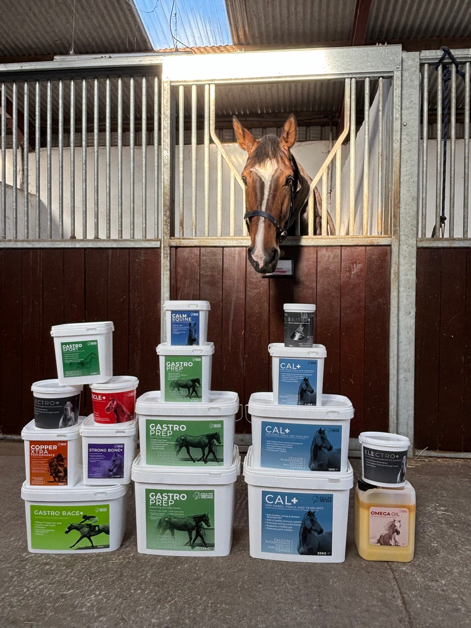 Horse Essentials – Swish Equestrian Ireland Limited