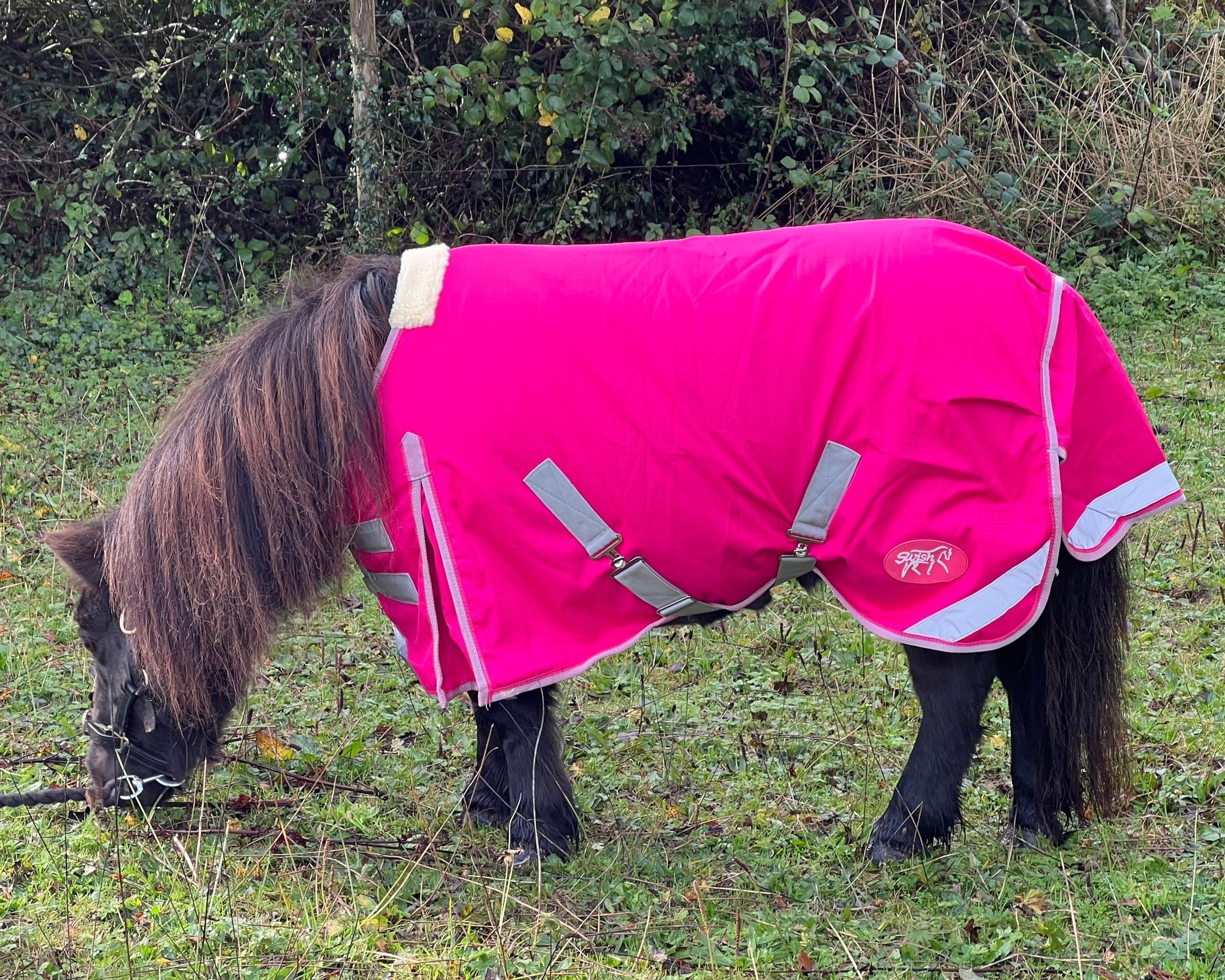 50g Dinky Pink Mini Turnout Rug – Swish Equestrian Ireland Limited