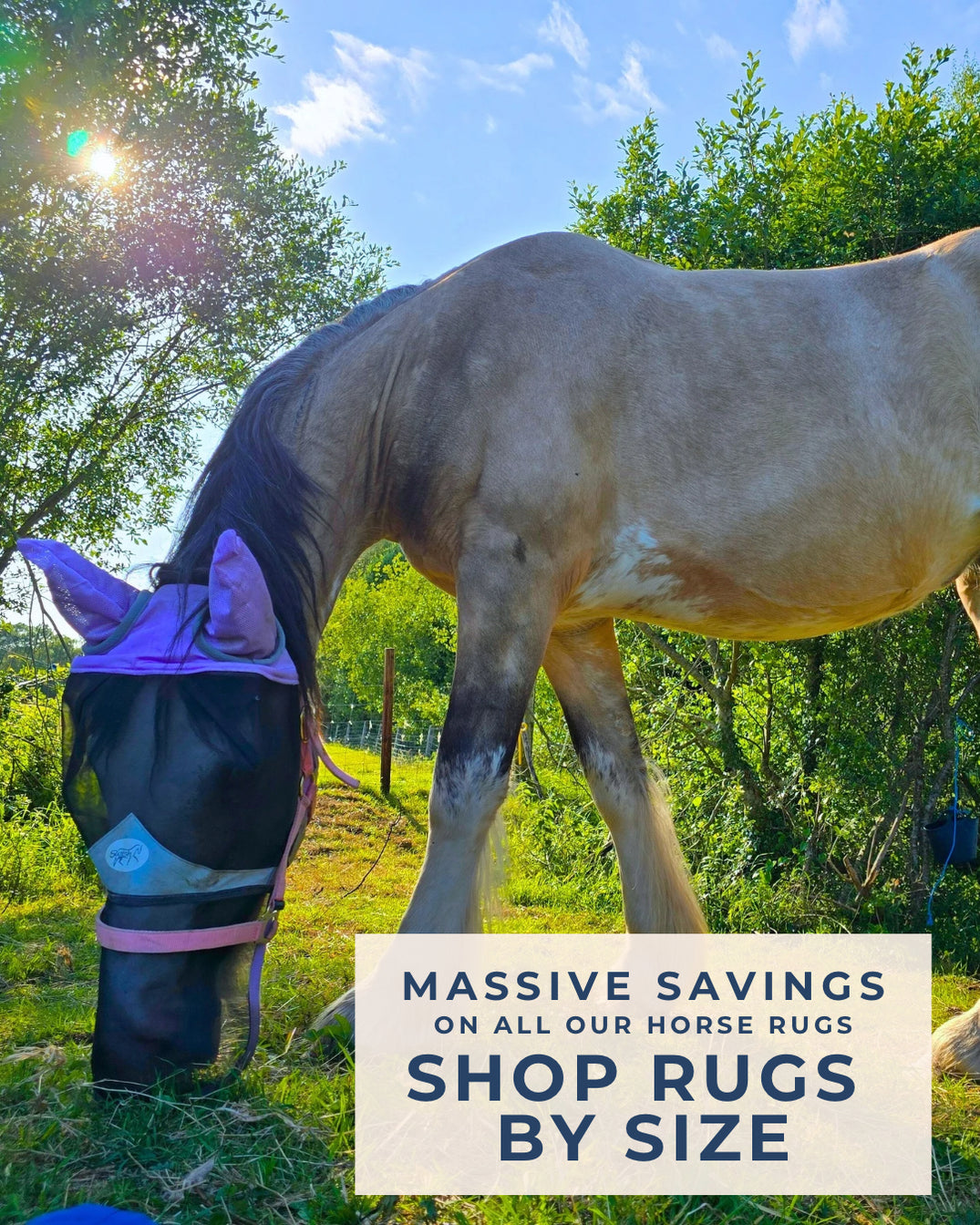 Horse Rugs Brand - Swish Equestrian Ireland – Swish Equestrian Ireland ...