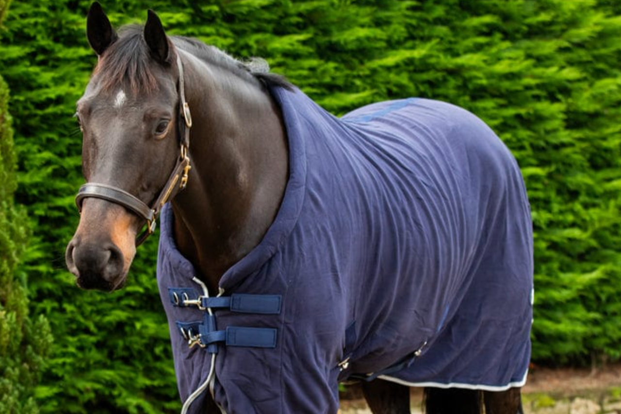 Horse Rugs Brand - Swish Equestrian Ireland – Swish Equestrian Ireland ...