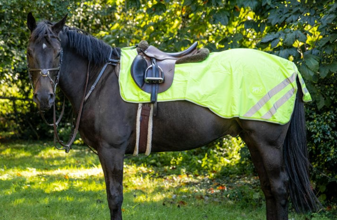 Horse Rugs Brand - Swish Equestrian Ireland – Swish Equestrian Ireland ...