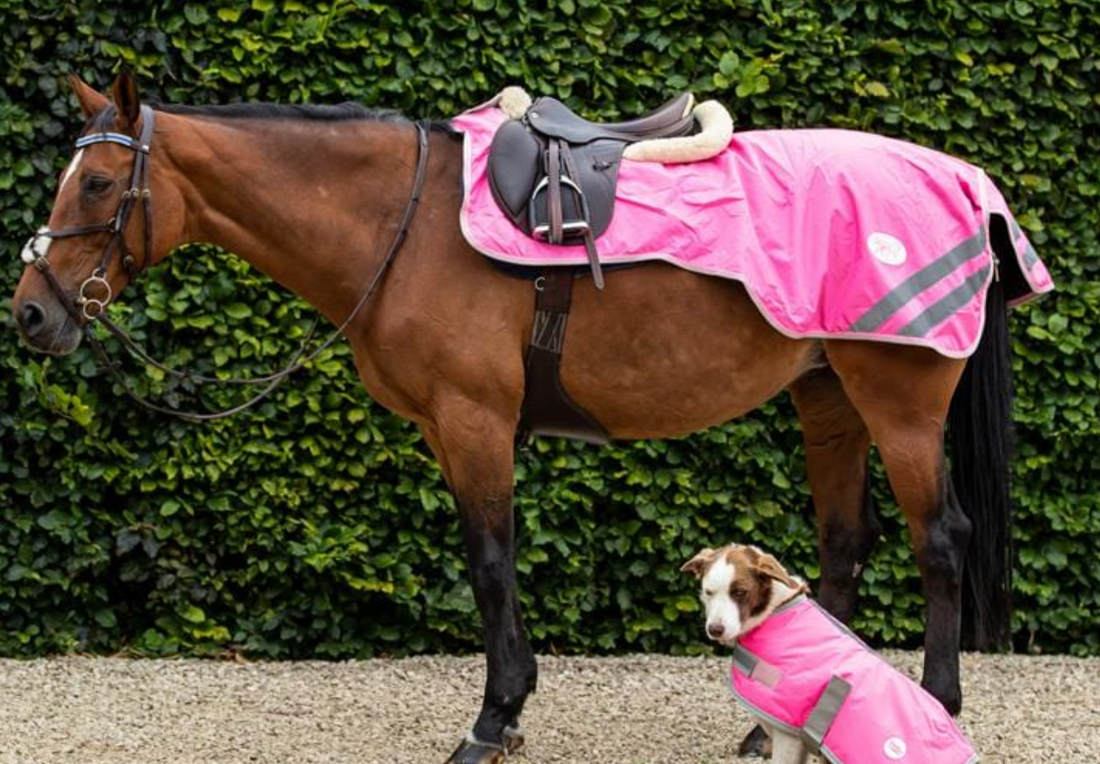 Horse Rugs Brand - Swish Equestrian Ireland – Swish Equestrian Ireland ...